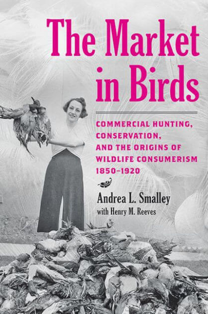 NIU Today | Andrea Smalley’s new book examines history of commercial ...